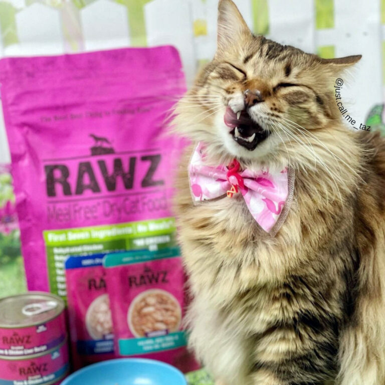 Premium Natural Pet Food for Dogs & Cats | RAWZ