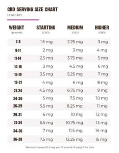 How to Use CBD Oil for Cats: Benefits, Dosages & Key Facts